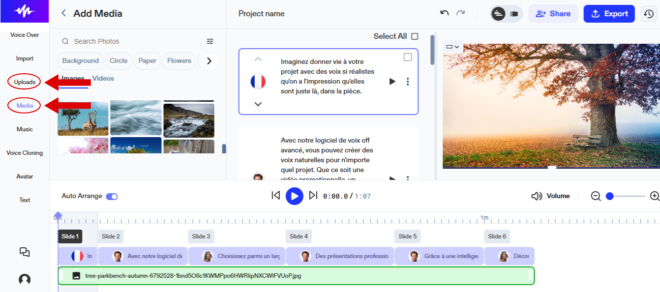 What is the Best AI Voice Generator for French? | Speechify